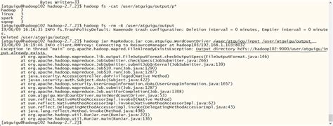 Hadoop While Running Mapreduce Program On Clusterinput Path Was