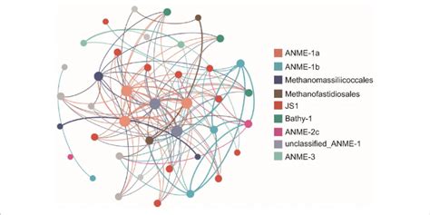 Network Co Occurrence Patterns Of The Dominant Amplicon Sequence Download Scientific Diagram