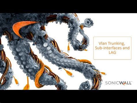 SonicWall Vlan Trunking Sub Interfaces And LAG YouTube