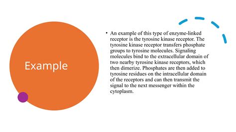 Cell Surface Receptor And Internal Receptor Pptx