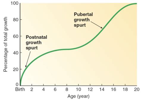 Hormonal Control Of Growth Puberty Part Flashcards Quizlet