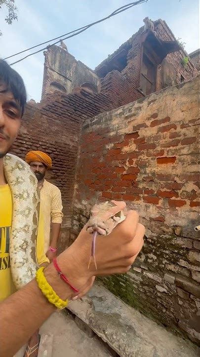 Python 🐍 Youtubeshort Shortvideo Youtube