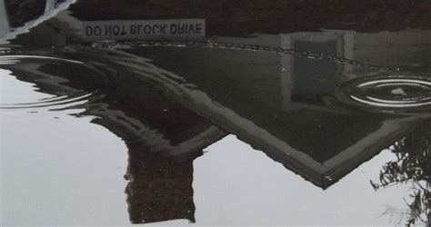 Regex Jmp User Community