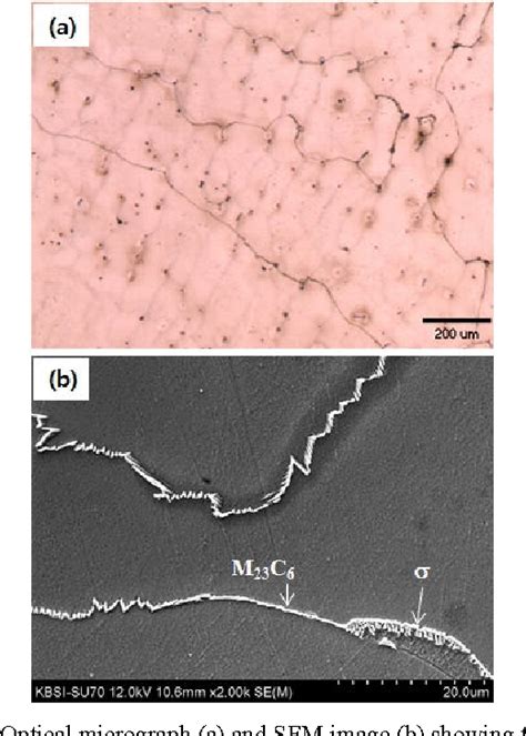 Figure 1 From Microstructure And High Temperature Deformation Behavior