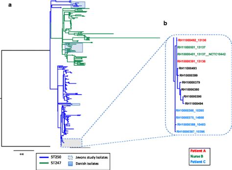 Methicillin Resistant Staphylococcus Aureus Emerged Long Before The Introduction Of Methicillin