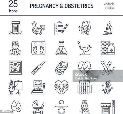 임신 관리 산부인과의 현대 벡터 라인 아이콘 부인과 원소 의사에 대한 스톡 벡터 아트 및 기타 이미지 의사 부인과 의사 곧은 Istock