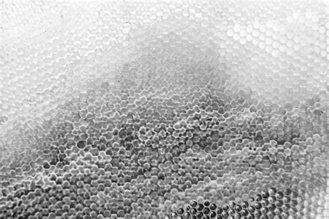 Hatching Texture Stock Photos Images And Backgrounds For Free Download