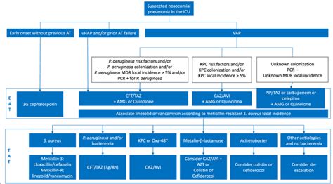 Pannuci Algorithm From Empirical To Targeted Treatment On Nosocomial Download Scientific Pannuci Algorithm From Empirical To Targeted Treatment On Nosocomial Download Scientific