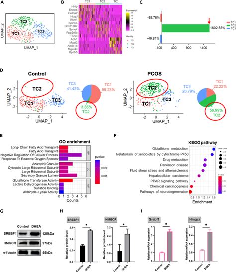 Integrated Single Cell And Spatial Transcriptomics Reveal Microenvironment Disruptions By