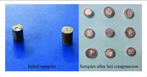 Samples Before And After The Hot Compression Test Download Scientific Diagram