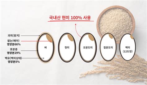 벼 도정 후 7시간 골든타임은 무슨 의미일까 건강정보 L 브랜드스토리 L 오래오랩 L 케어스낵