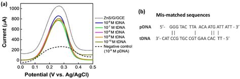 A Dpv Plots Of Synthetic Samples B Mismatched Sequences Of Pdna And