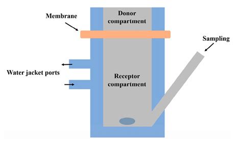Active Gel Transdermal Patch Development Cd Formulation