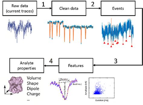 A Guide To Signal Processing Algorithms For Nanopore Sensors Pmc