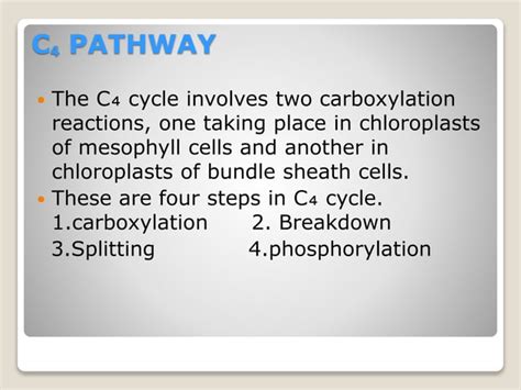 C3cycle And C4 Cycle Pptx