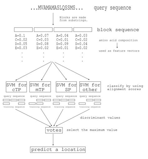 Overview Of Our Method Elements Of Our Proposed Kernel Matrix Are