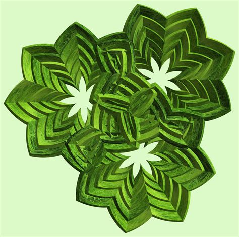 무료 이미지 구조 조직 잎 무늬 녹색 식물학 디자인 대칭 3d 그래픽 큰 쇠시리 수학자 Cg Parametricplot3d 암호 프로그램