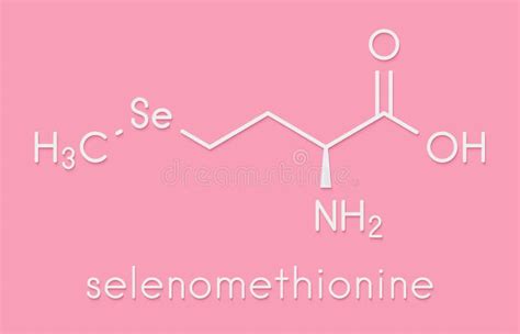 Selenium Formula Stock Illustrations 129 Selenium Formula Stock