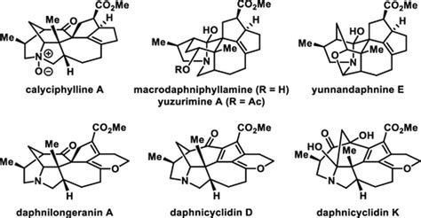 Total Synthesis Of Four Classes Of Daphniphyllum Alkaloids Journal Of
