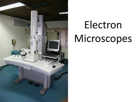 Ppt Electron Microscopes Powerpoint Presentation Free Download Id 2429778