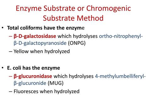 Ppt Microbiology Of Water And Air Powerpoint Presentation Free