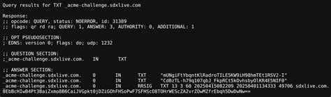 Cannot Validate Challenge For A Wildcard Certificate Using Dns 01 Help Lets Encrypt