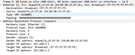 2抓包观察udp报文udp抓包 Csdn博客