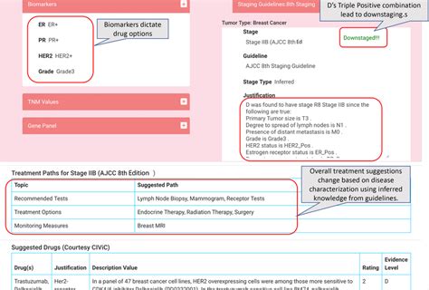 Ajcc 8 Th Edition Staging Characterization Download Scientific Diagram