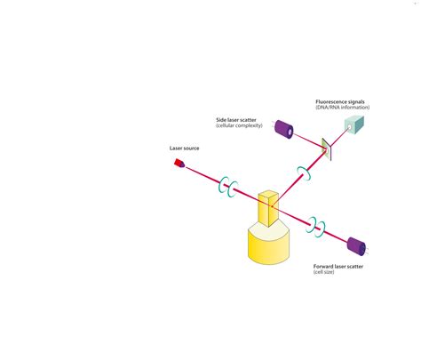 دستگاه Mindray Bc 6200 آزمایشگاه وحید