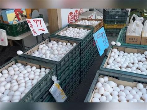 平價雞蛋搶翻整箱買回家！遊客驚喜怎麼差這麼多？蛋農強調「沒囤蛋沒賺差價」曝親民價原因 今周刊