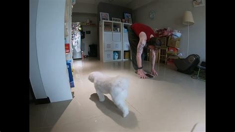 Statics Youtube Statics Youtube