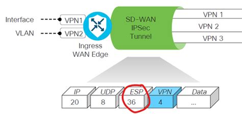 Cisco Sd Wan Overhead Size Cisco Community