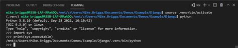 python interpreter for venv not being found when created using wsl