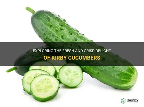 Exploring The Fresh And Crisp Delight Of Kirby Cucumbers Shuncy