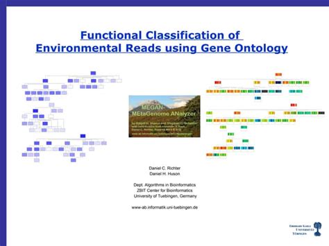 Functional Metagenome Analysis Using Gene Ontology Megan 4 Ppt