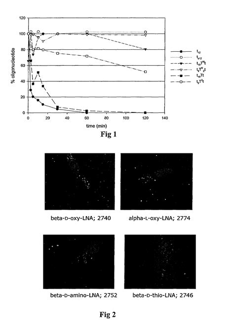 Oligonucleotides With Alternating Segments Of Locked And Non Locked Nucleotides Eureka Patsnap