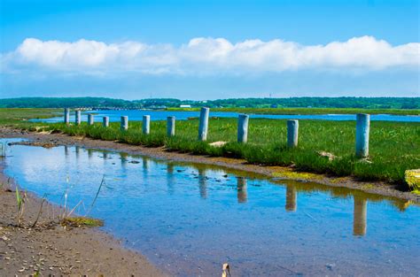 春国岱の夏5 by wing681 ID7062815 写真共有サイト PHOTOHITO