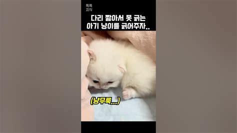 하찮은 짧은 다리를 가진 아기 고양이를 긁어주자 Youtube