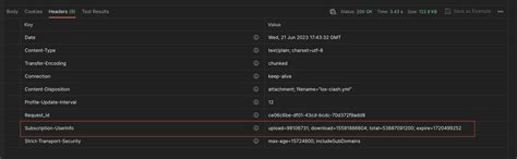 在profiles界面自定义显示剩余流量 · Issue 614 · Tindy2013subconverter · Github