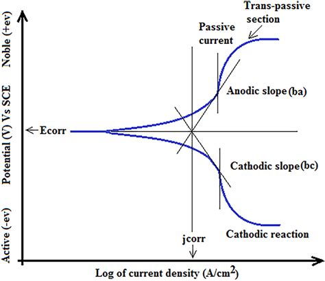 The Schematic Diagram For The Tafel Polarization Plot For An
