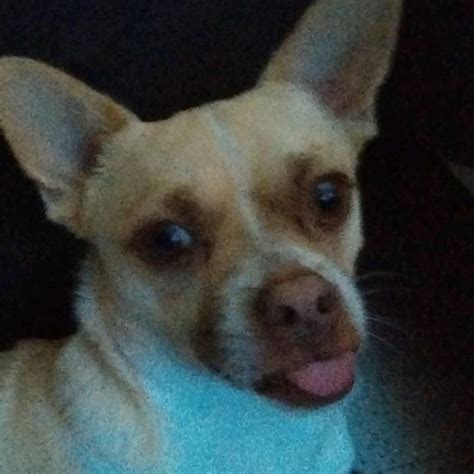 🦄 Tutorial Facilito Mr Tutorial Tiktok