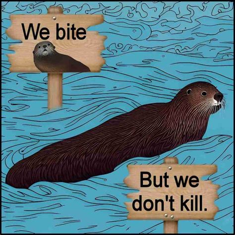 Otter Bite