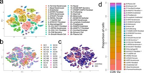 T SNE Plot Of ScRNA Seq Data From Control And SSc Skin Download Scientific Diagram