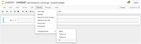 python r bash in one jupyter notebook dmytro kryvokhyzha