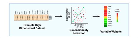 Steps Of Principal Component Analysis PCA This Example Figure Download Scientific Diagram