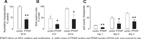Figure 2 From Cell Cycle Actions Of Parathyroid Hormone Related Protein