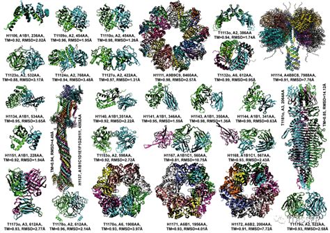 nature methods 张阳团队开发远超alphafold2精度的蛋白互作结构预测算法 csdn博客