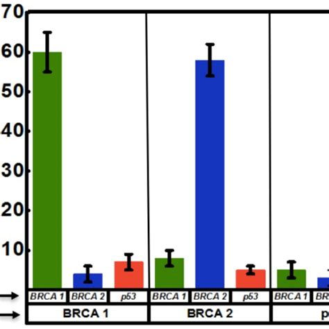 Multiplexed Detection Of Breast Cancer Related Biomarkers Three