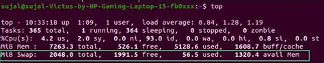 How To Monitor System Activity In Linux Top Command Geeksforgeeks