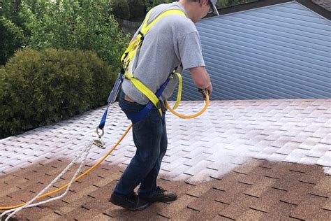 Roof Cleaning Class Niagara Exterior Cleaning Supply Store